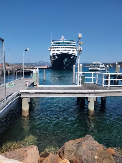 Second (and last?) cruise | Rhonda Bracey: At Random